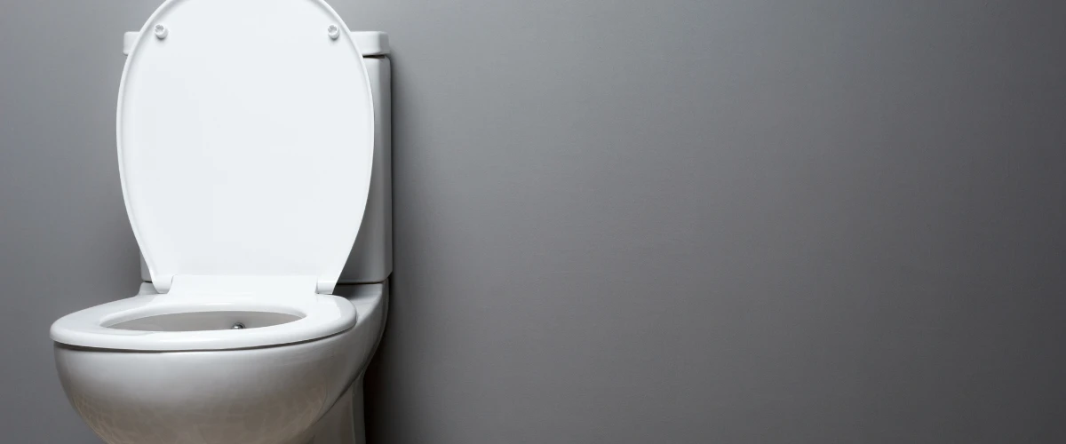 Close Coupled Back To Wall Toilet | RAK Tonique | Commercial Washrooms
