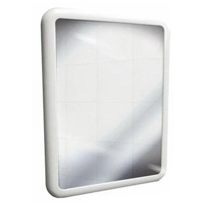 DVS Vandal Resistant Mirror and Frame
